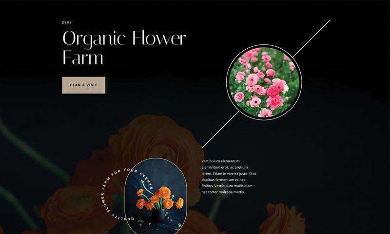 project-4-1 | Fifth Partners